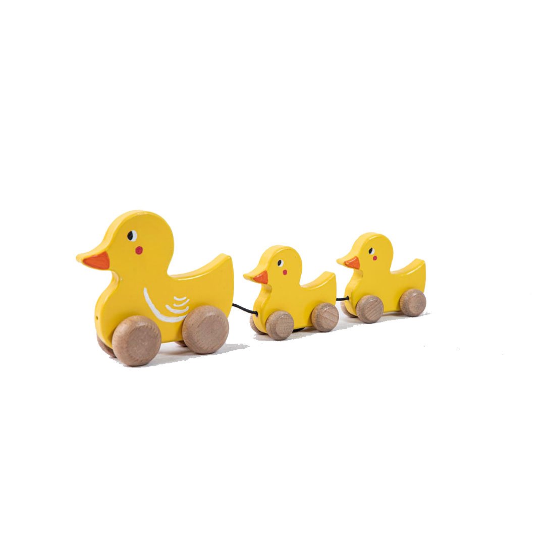 Wooden Pull-Along Duck Toy 1-3 Years: Non-Toxic & Safe | TinyTyke